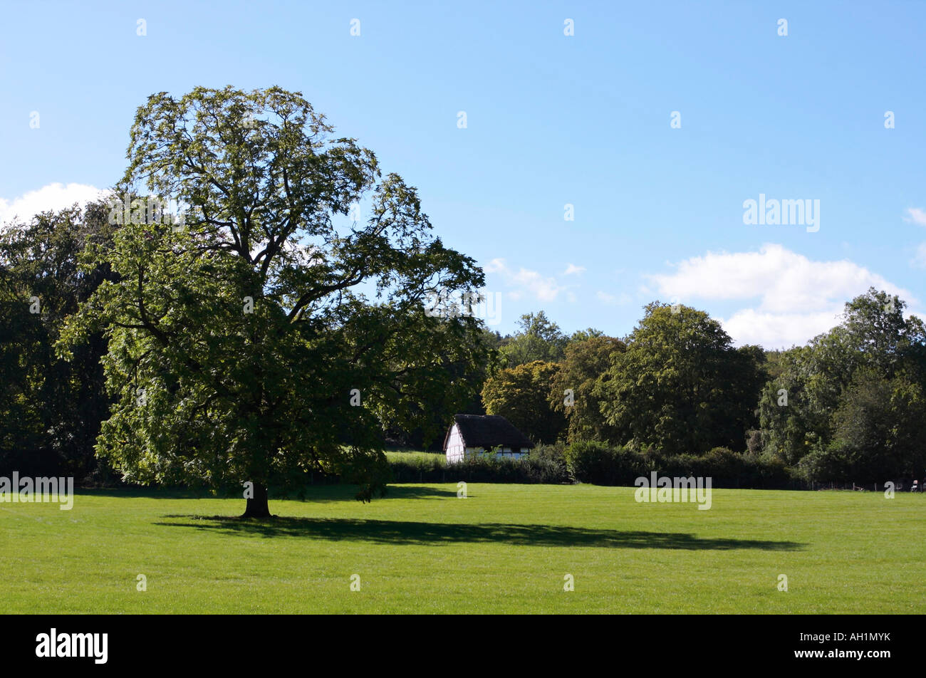Traditional English landscape with horse chestnut tree in foreground ...