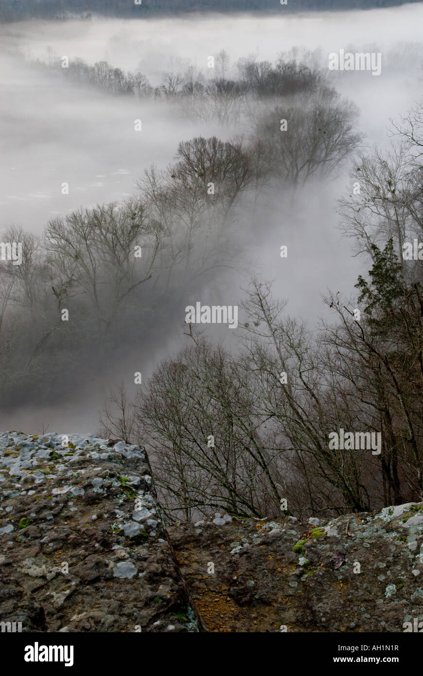 clifftop view morning fog Harpeth River Stock Photo - Alamy