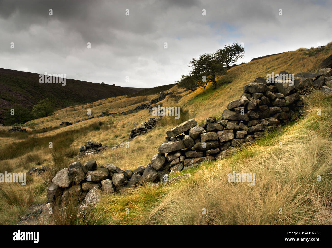 Bronte walk yorkshire hi-res stock photography and images - Alamy