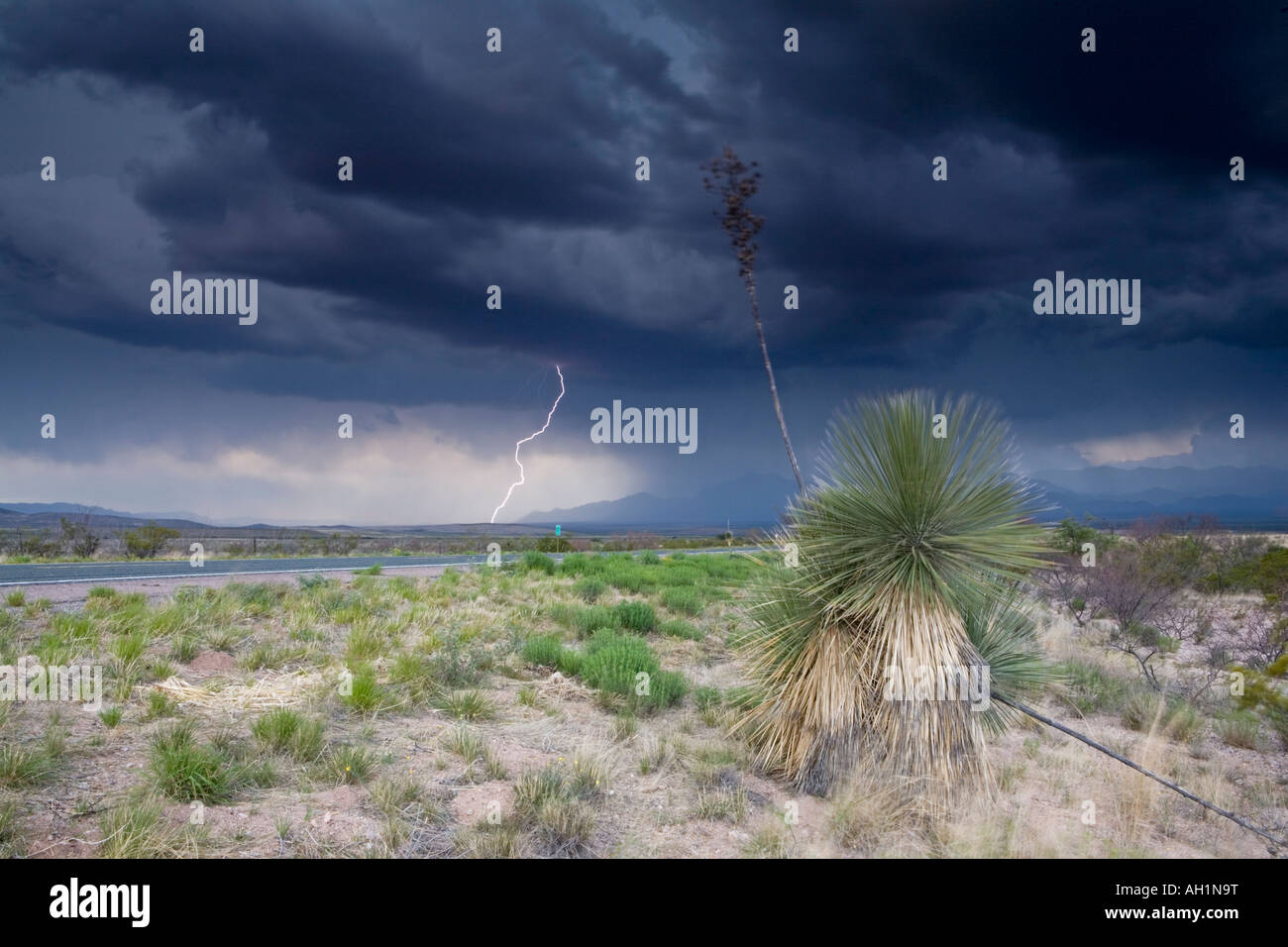 A bolt of lightning from a severe thunderstorm over the desert in New ...