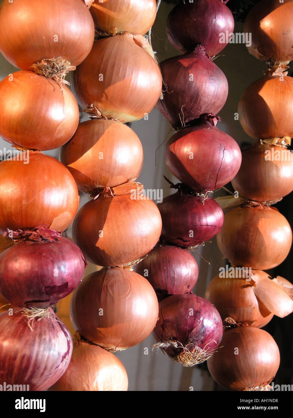 String of Onions Stock Photo - Alamy