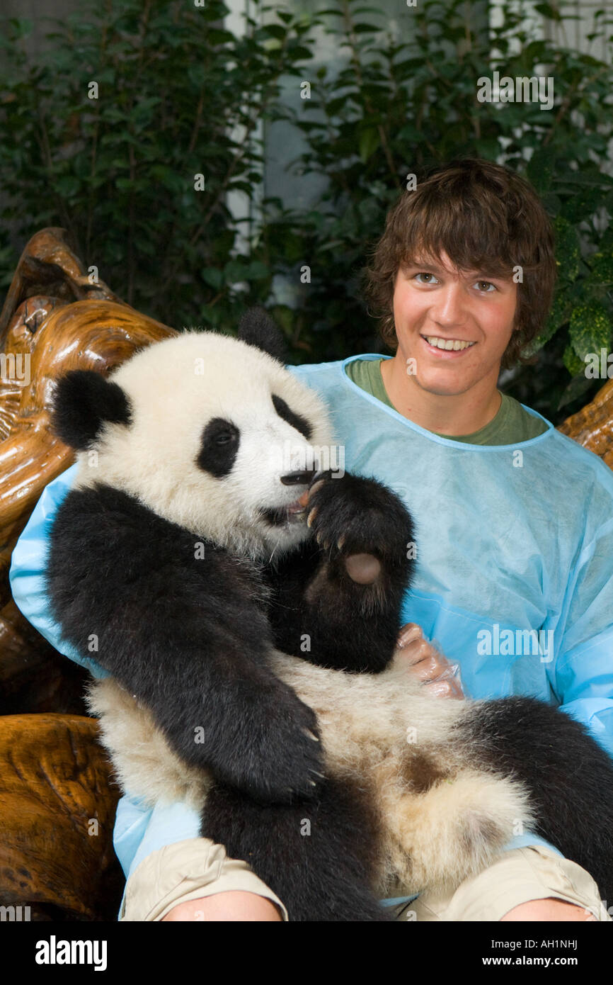 Young man holding eight month old baby Giant Panda at Chengdu Panda ...