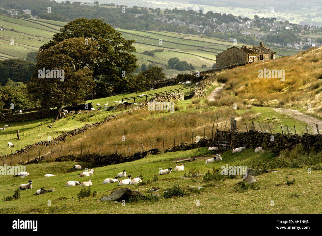 Bronte yorkshire hi-res stock photography and images - Alamy