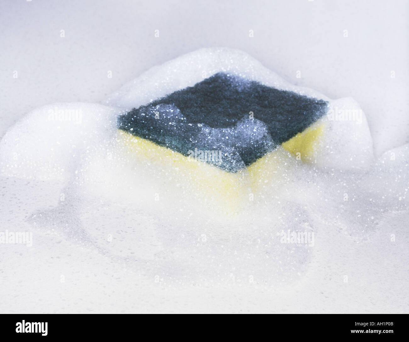 One dishwashing kitchen scrubbing sponge on the kitchen bench top with ...