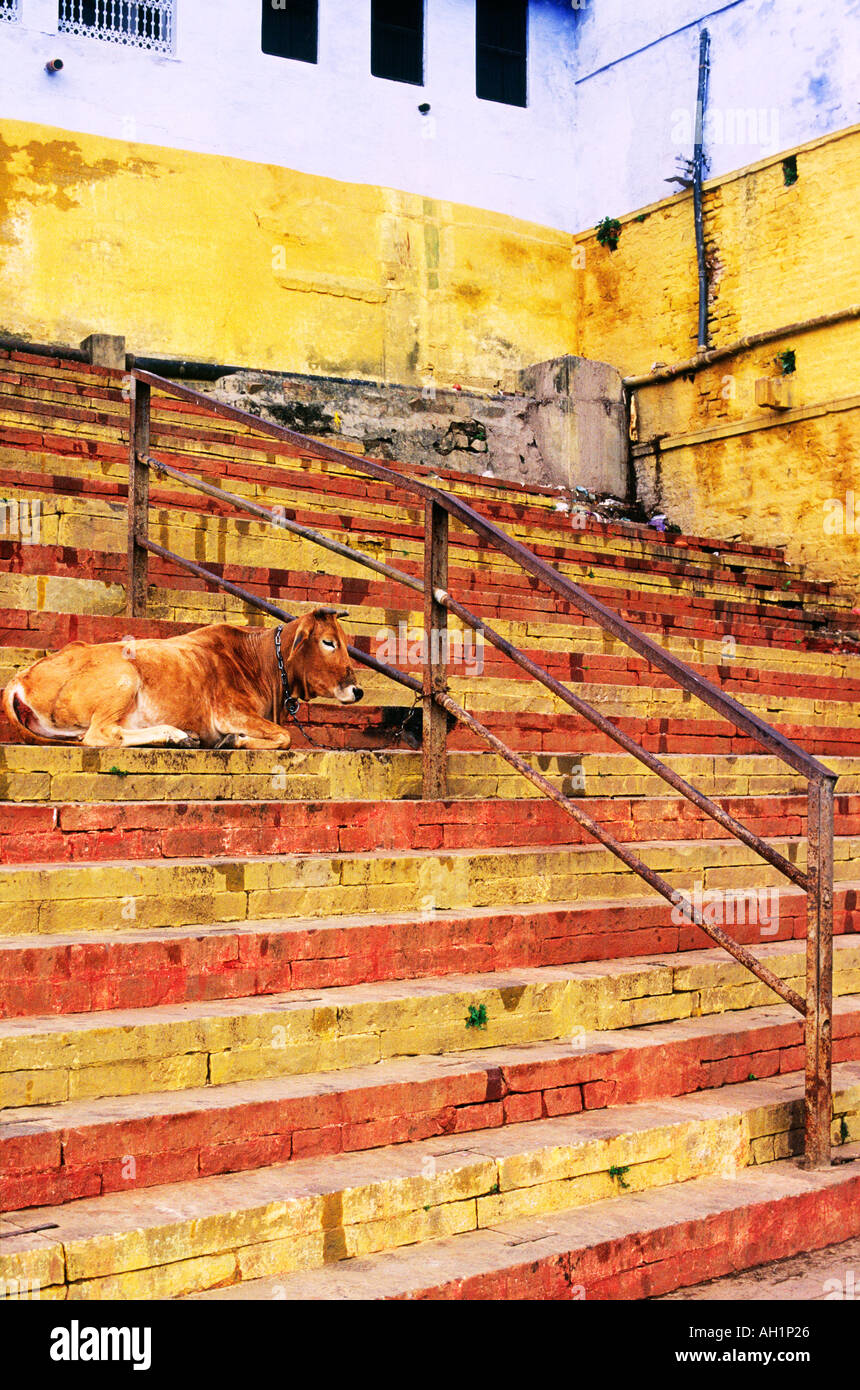 Many steep stairs to a bright yellow building on of the Ghat in ...