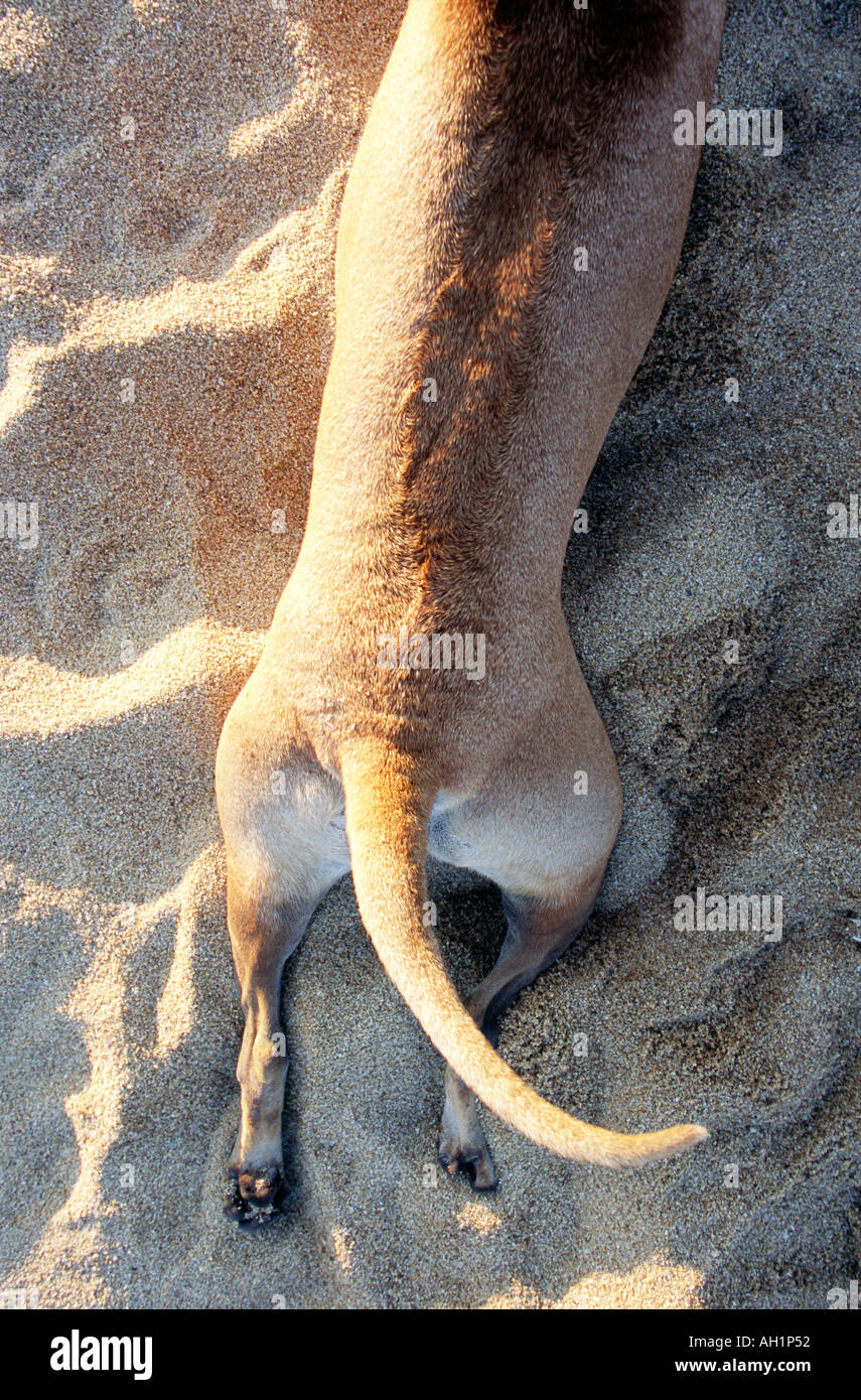 Sprawled Out Stock Photos & Sprawled Out Stock Images - Alamy