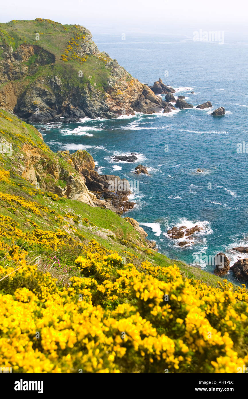 Beautiful summers day on Guernsey's coastal path Stock Photo - Alamy