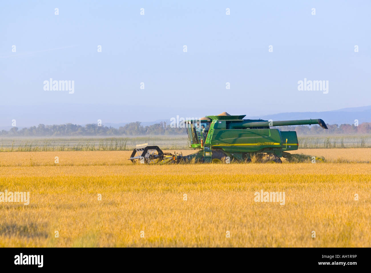 Rice harvesting combine america hi-res stock photography and images - Alamy