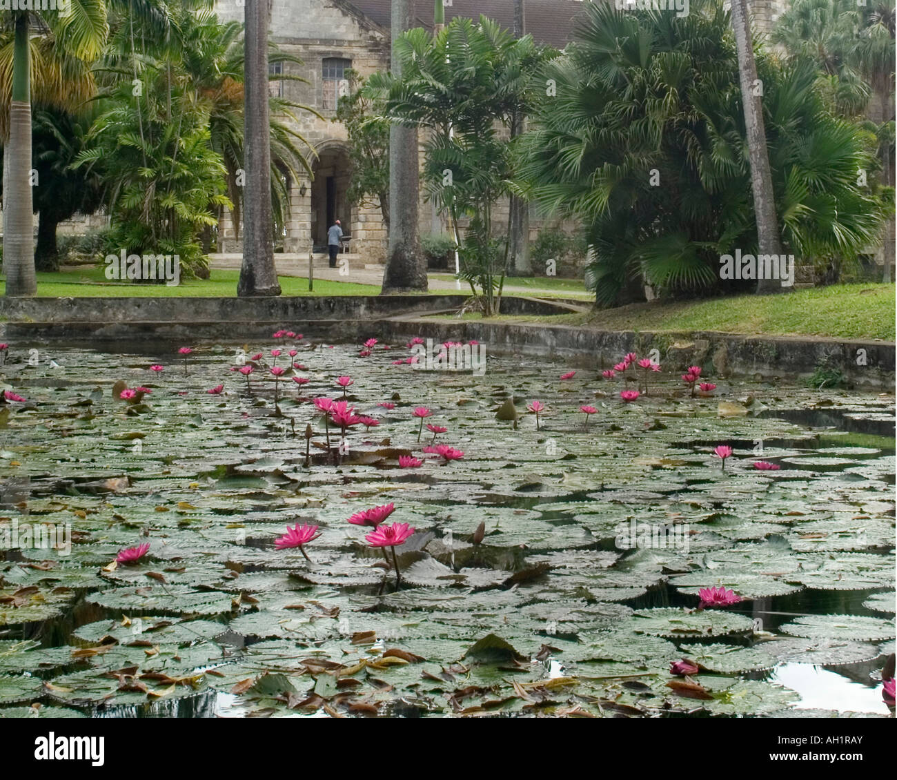 Codrington College, St John Parish, Barbados Stock Photo - Alamy