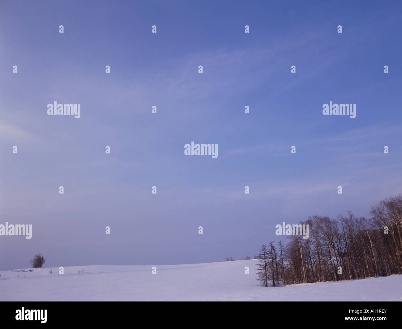 Snow-covered field in Hokkaido, Japan Stock Photo - Alamy