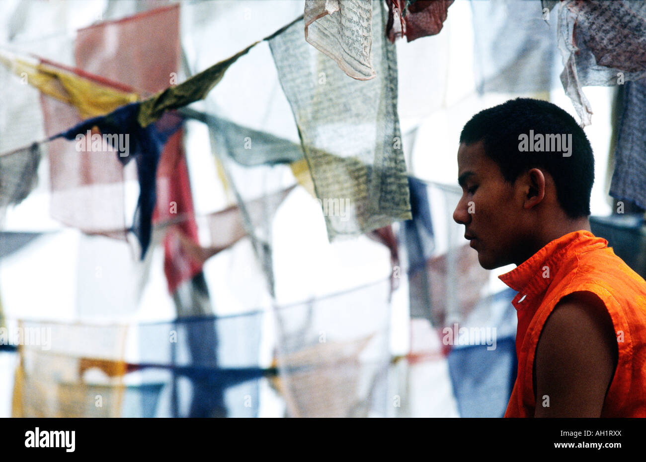 DOUG BLANE Tibetan Buddhist lama monk meditating with prayer flags ...