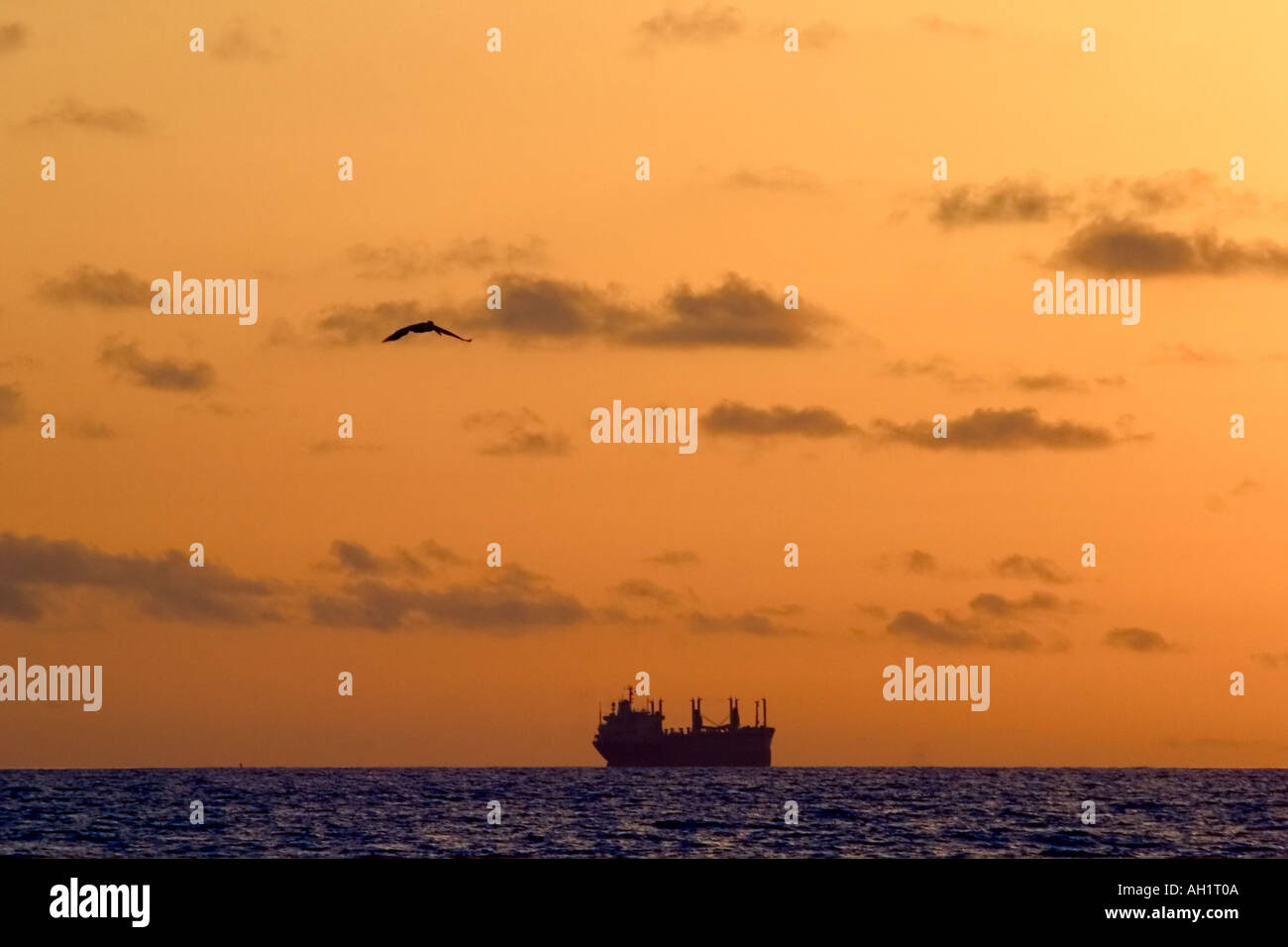 Container ship at sea with orange sky during sunset Stock Photo - Alamy