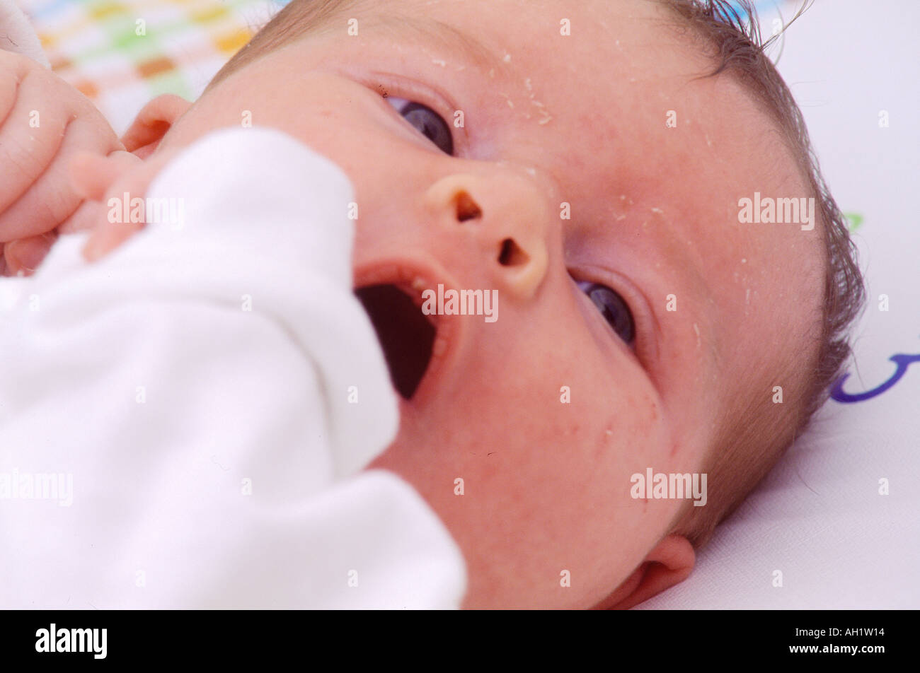 3 Week Old Baby Girl Stock Photo - Alamy