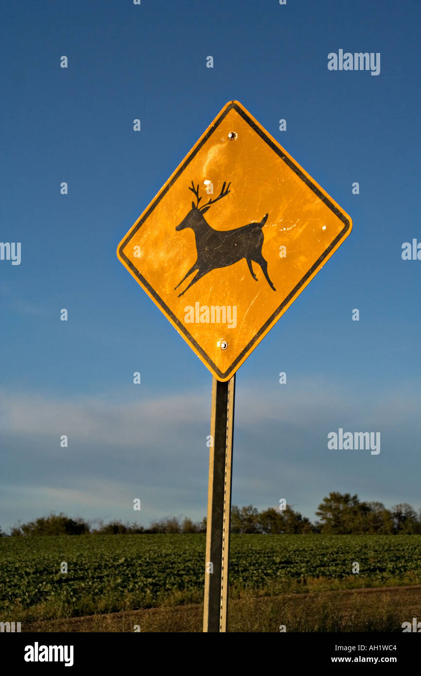 Alberta wildlife crossing hi-res stock photography and images - Alamy