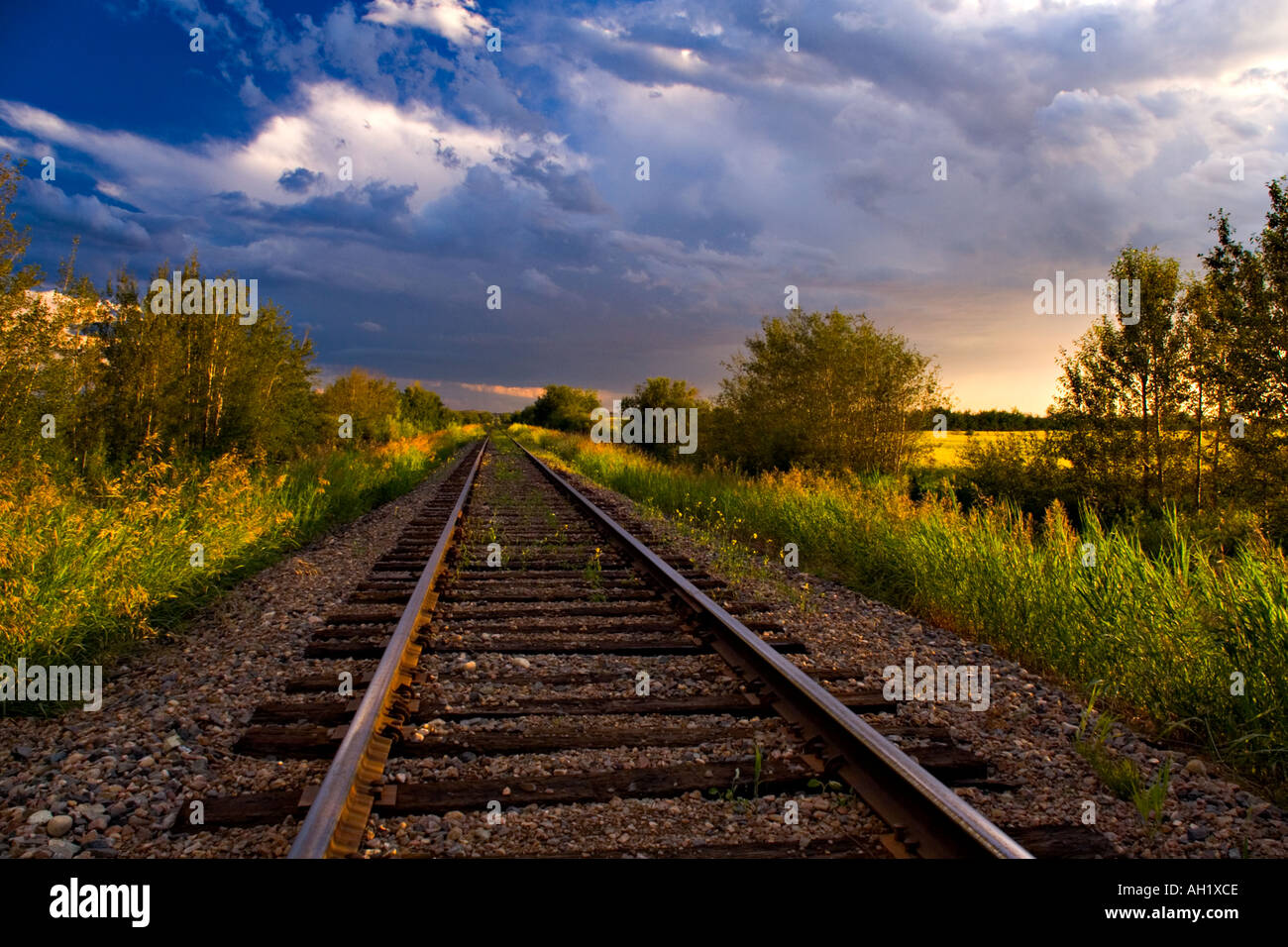 A railroad on the prairies in Alberta Canada Stock Photo - Alamy