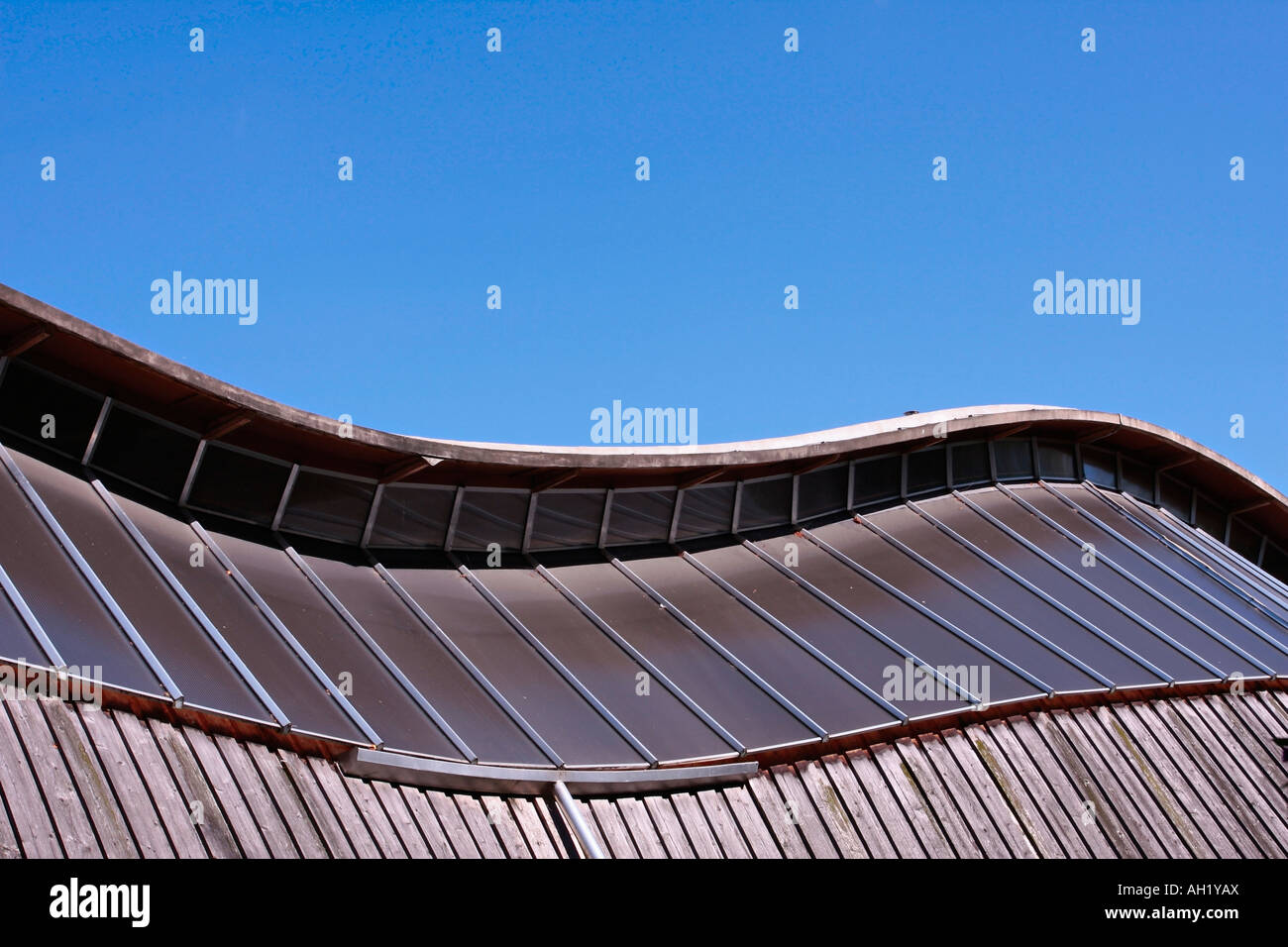 Curved roof of the Downland Gridshell at Weald and Downland Museum ...