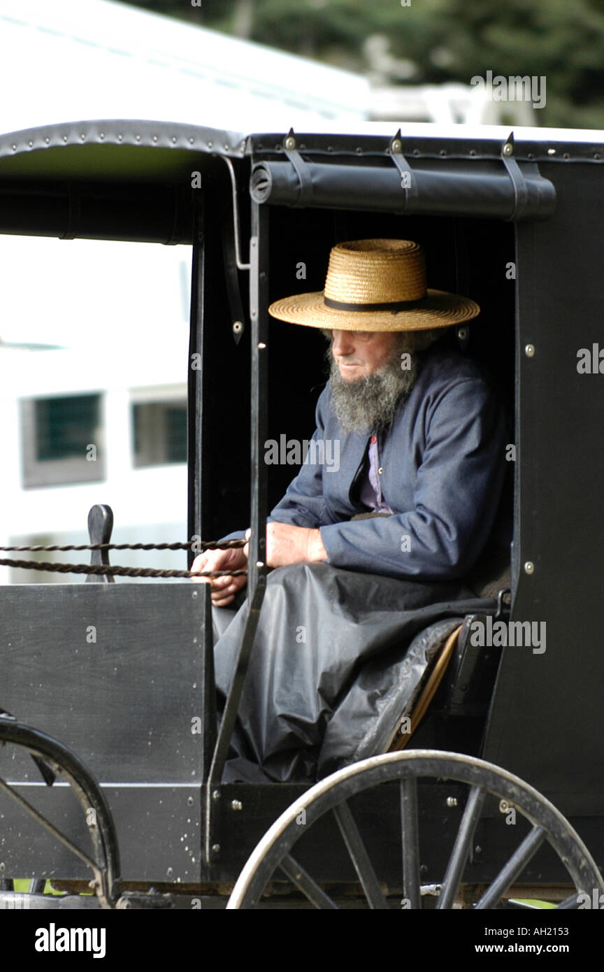 Amish Male Drives Horse and Buggy Stock Photo - Alamy