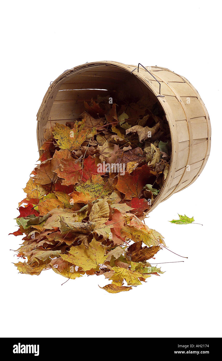Sideways container Cut Out Stock Images & Pictures - Alamy