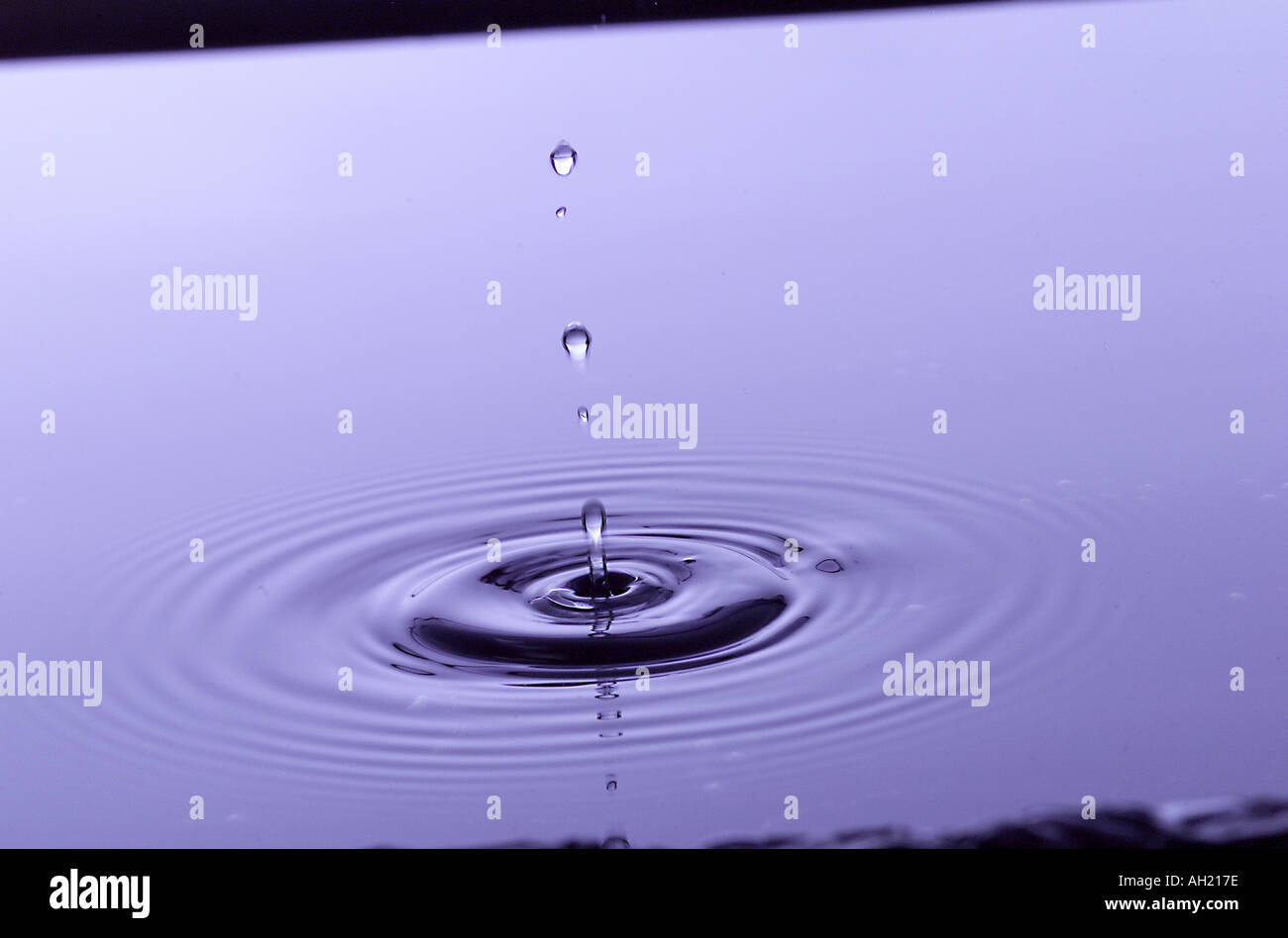 Water drop in calm water Stock Photo - Alamy