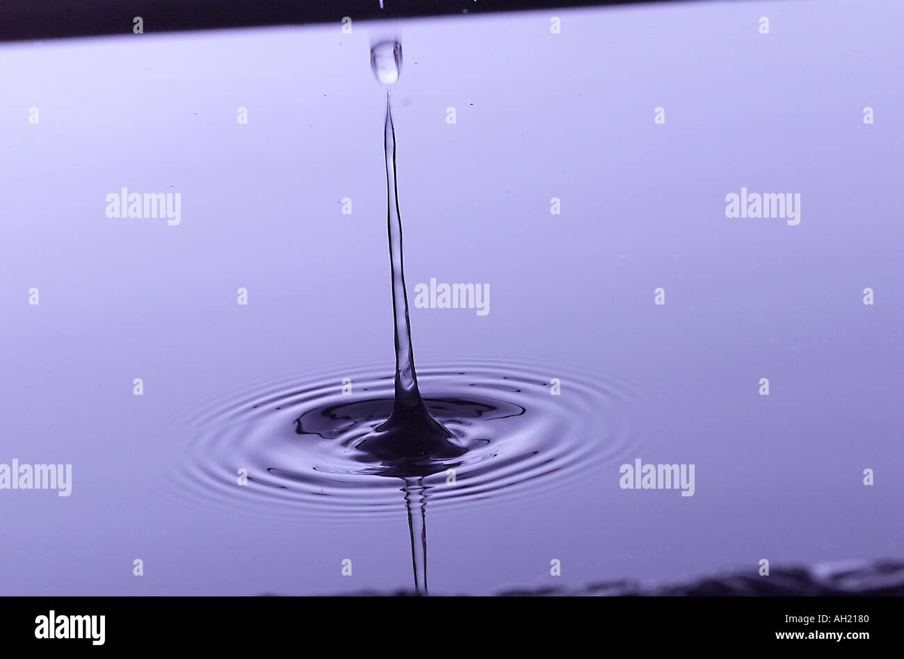 Water drip drips wet splash liquid hi-res stock photography and images ...