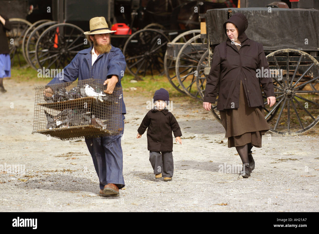 Amish Life Millersburg Ohio family of 3 going to market to sell farm ...