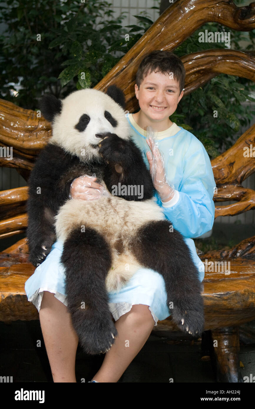 Young man holding eight month old baby Giant Panda at Chengdu Panda ...