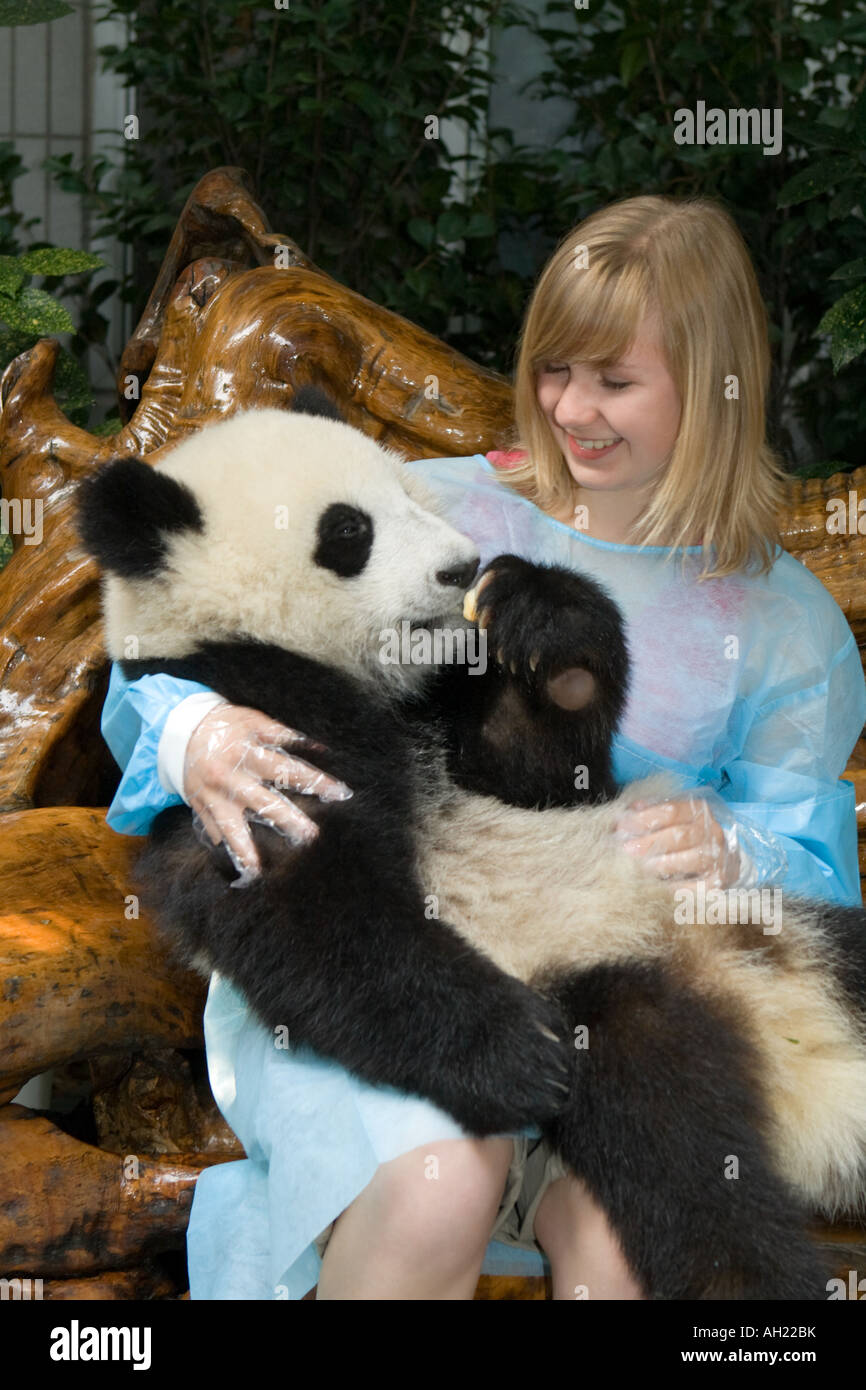Young girl holding eight month old baby Giant Panda at Chengdu Panda ...