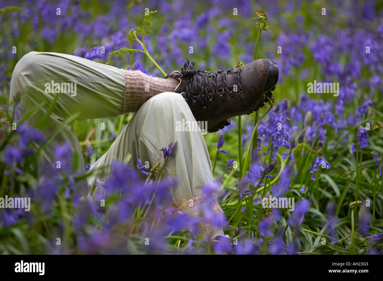 a hikers boot a woman relaxing amongst bluebells Batcombe Dorset ...