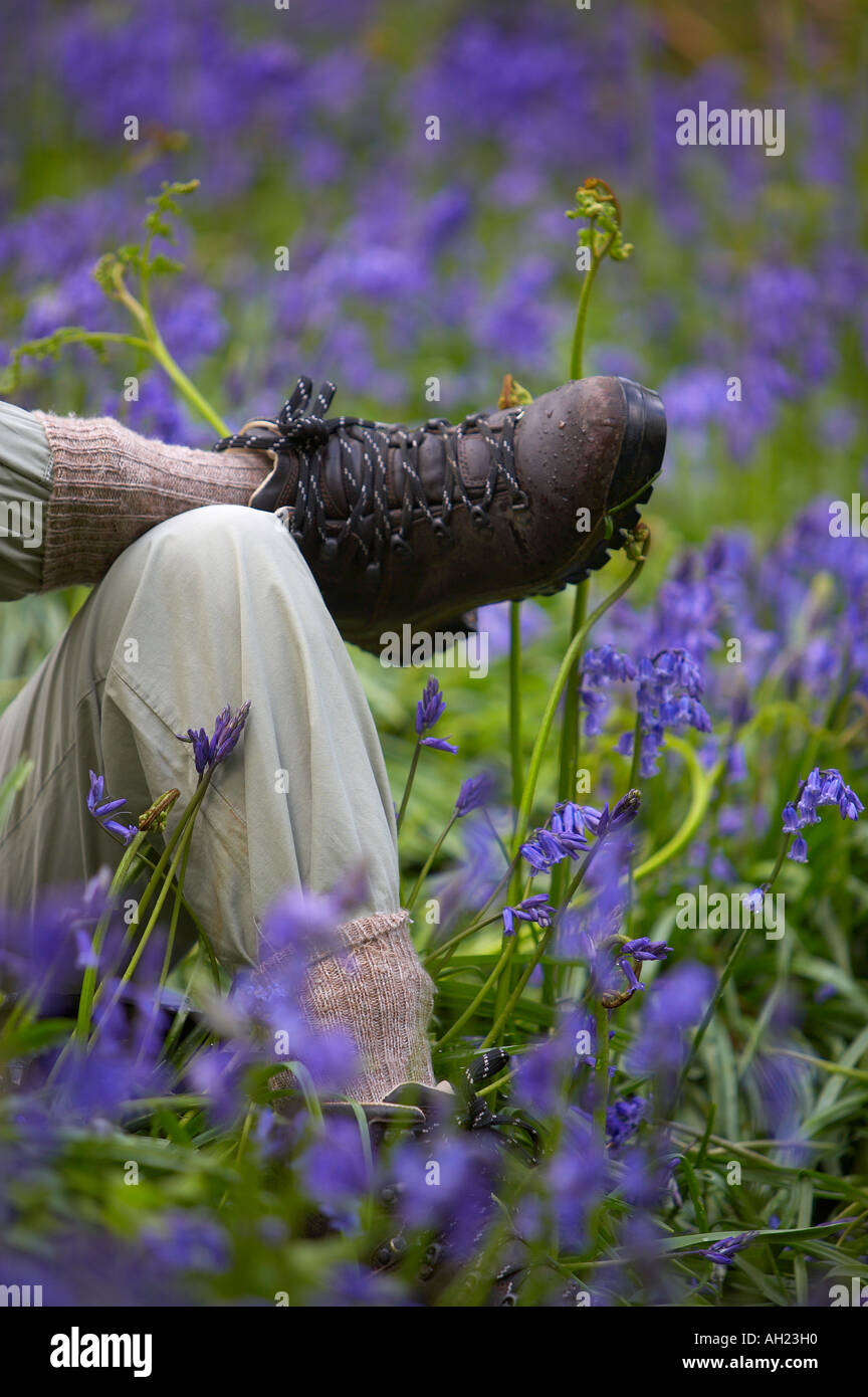 a hikers boot a woman relaxing amongst bluebells Batcombe Dorset ...