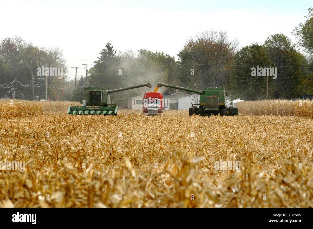 Corn Harvest Cadillac Michigan Stock Photo - Alamy