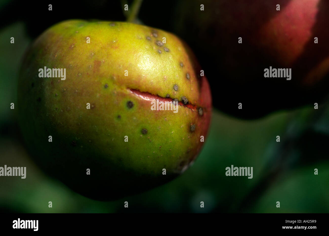 Fillingham hi-res stock photography and images - Alamy