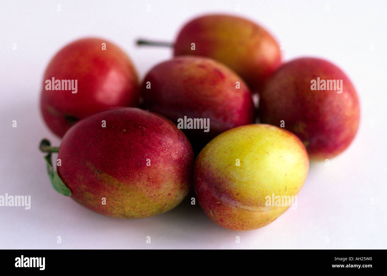 Prunus domestica victoria hi-res stock photography and images - Alamy