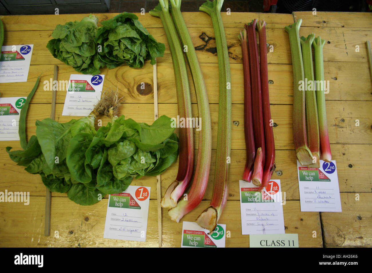 Competition winners in a country fete for the best grown rhubarb ...