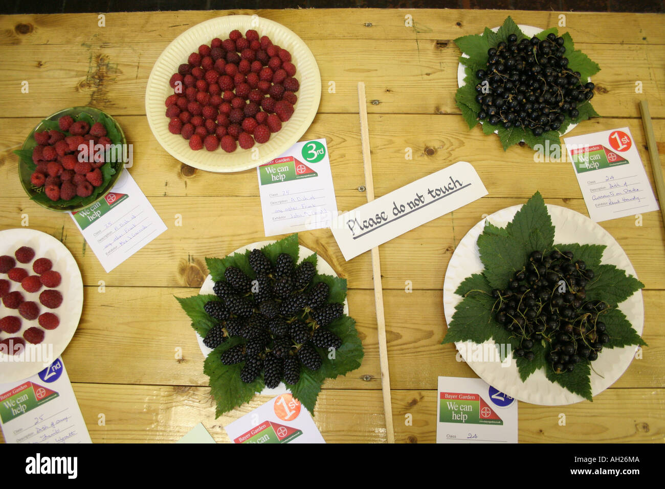 Competition winners in a country fete for the best grown fruit ...