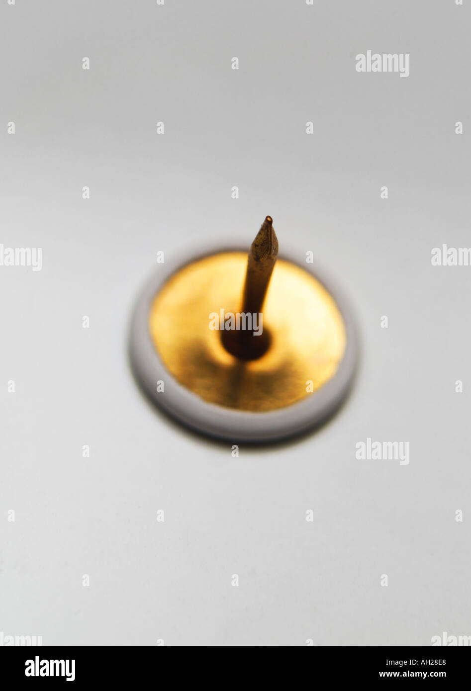 close up drawing pin Stock Photo - Alamy