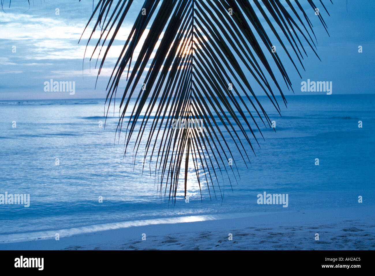 Half moon resort jamaica hi-res stock photography and images - Alamy