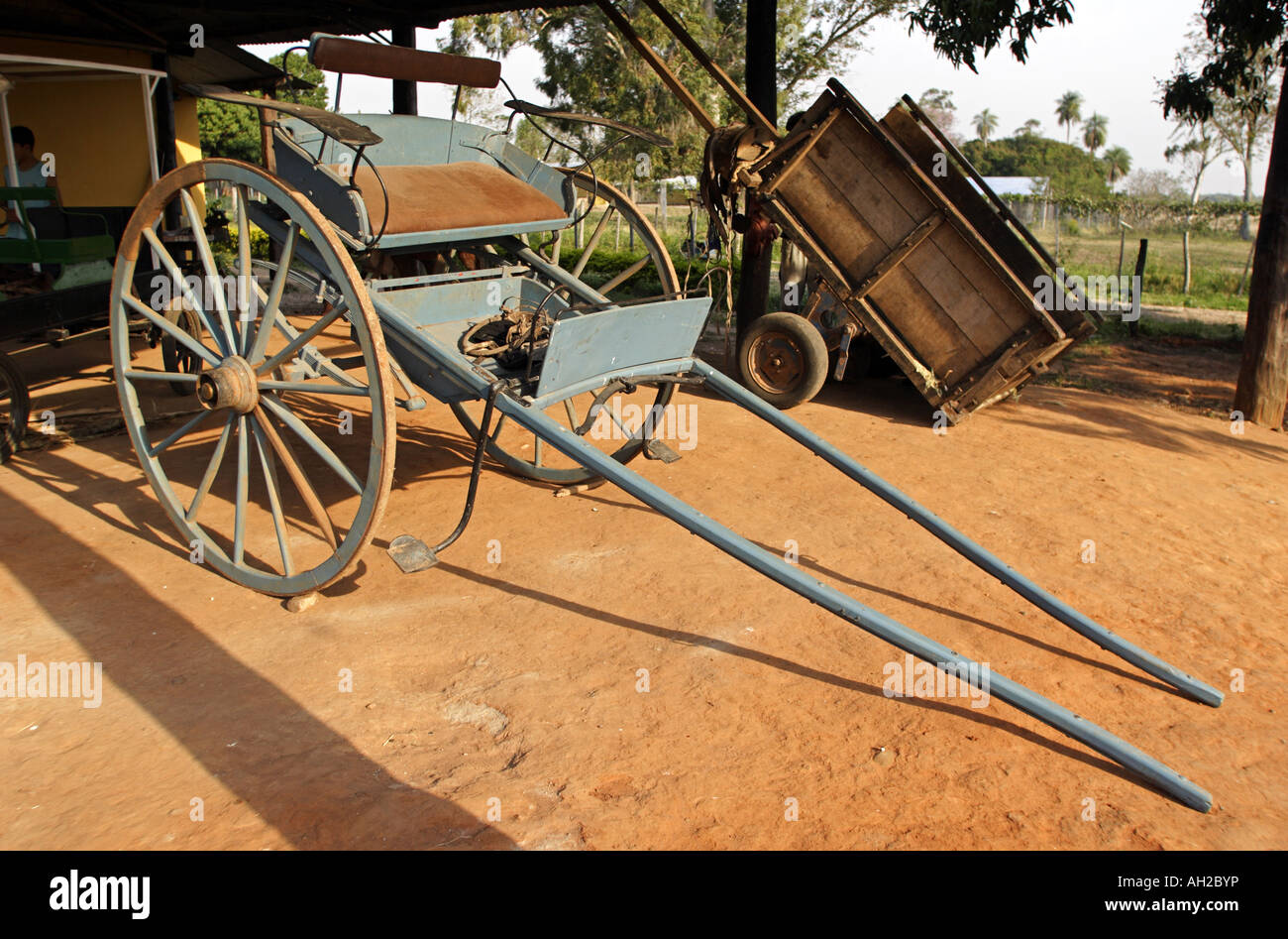 Horse cart pull transportation people ride architecture style colonial ...
