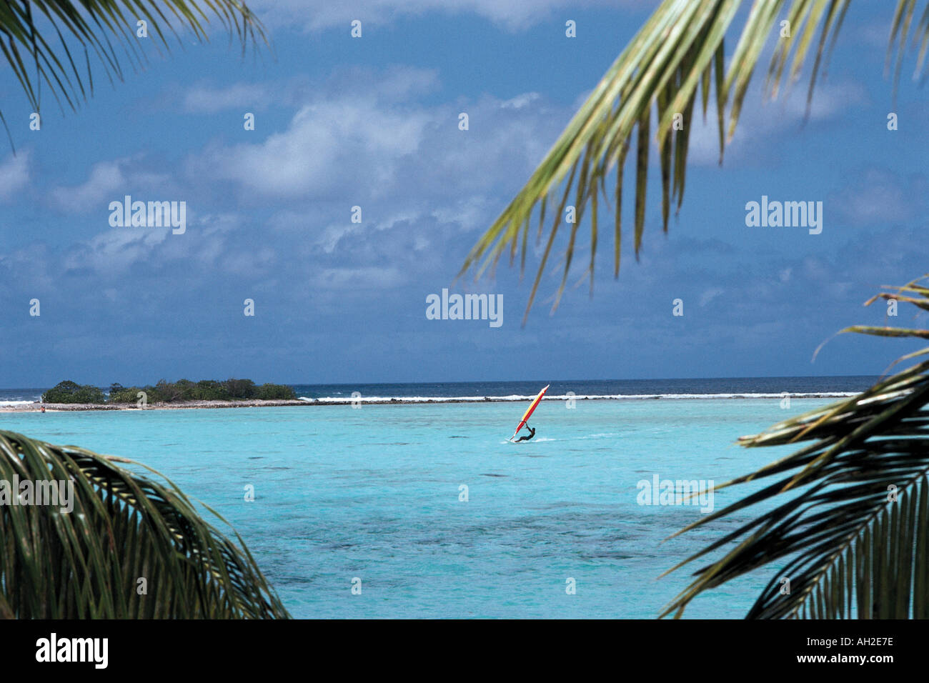 Guam beach palm tree hi-res stock photography and images - Alamy