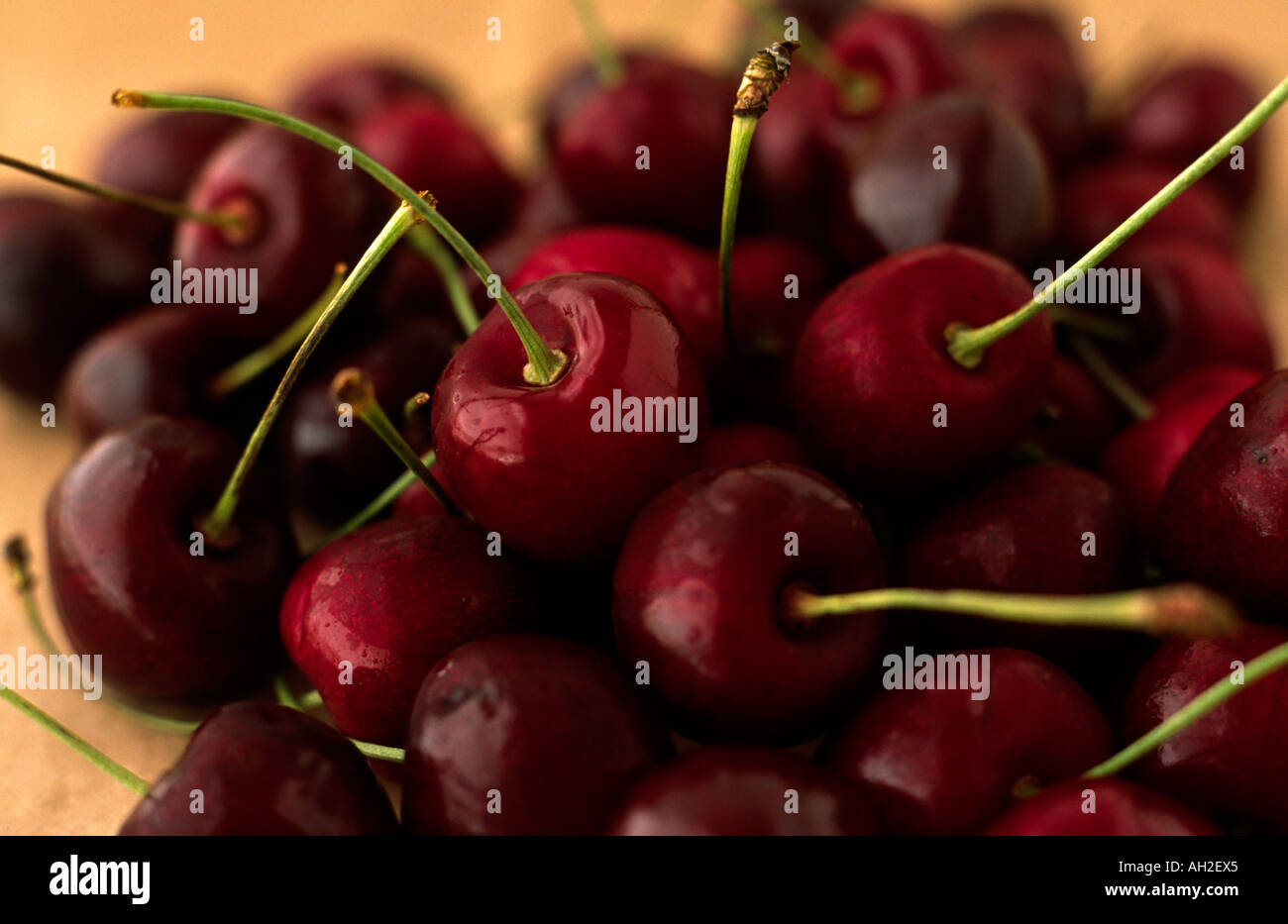 Prunus avium napoleon hi-res stock photography and images - Alamy