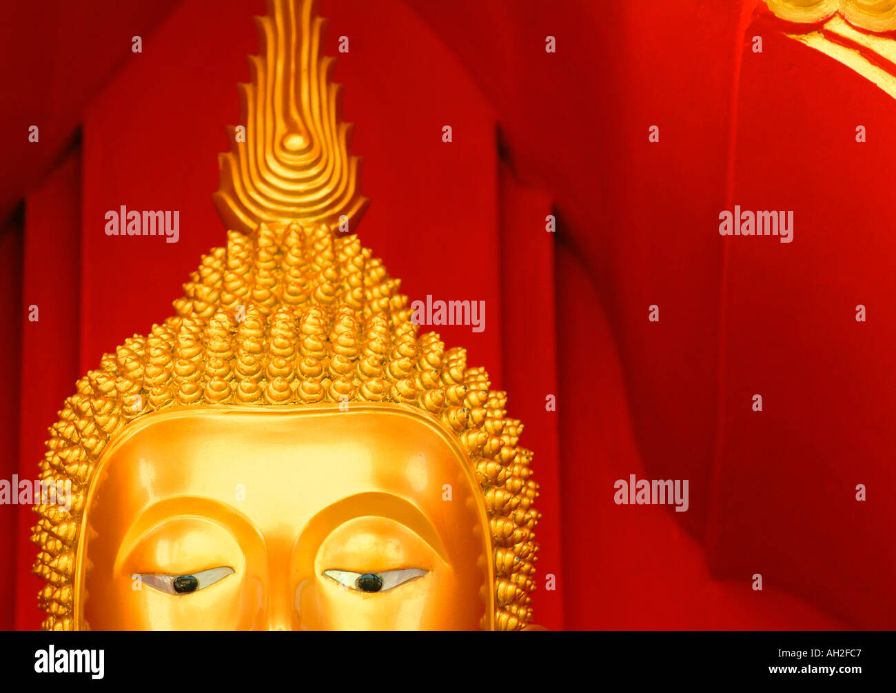 Golden ram portrait hi-res stock photography and images - Alamy