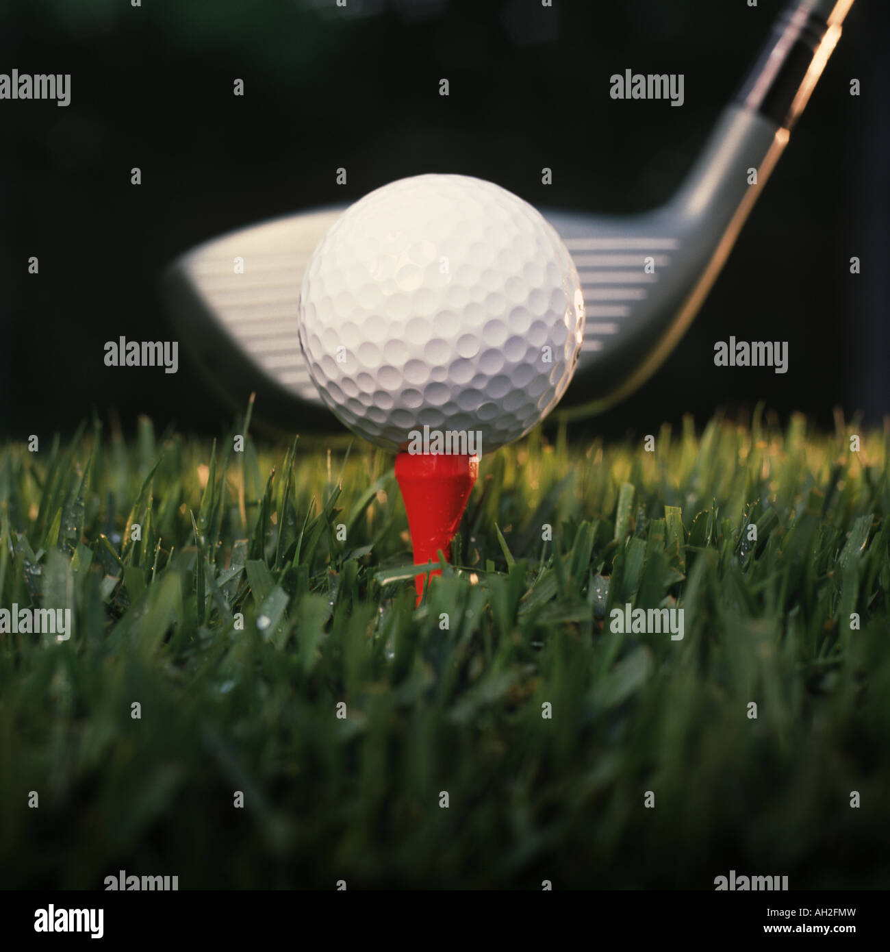 A golf ball on a red tee a metal driver about to strike the ball Stock ...