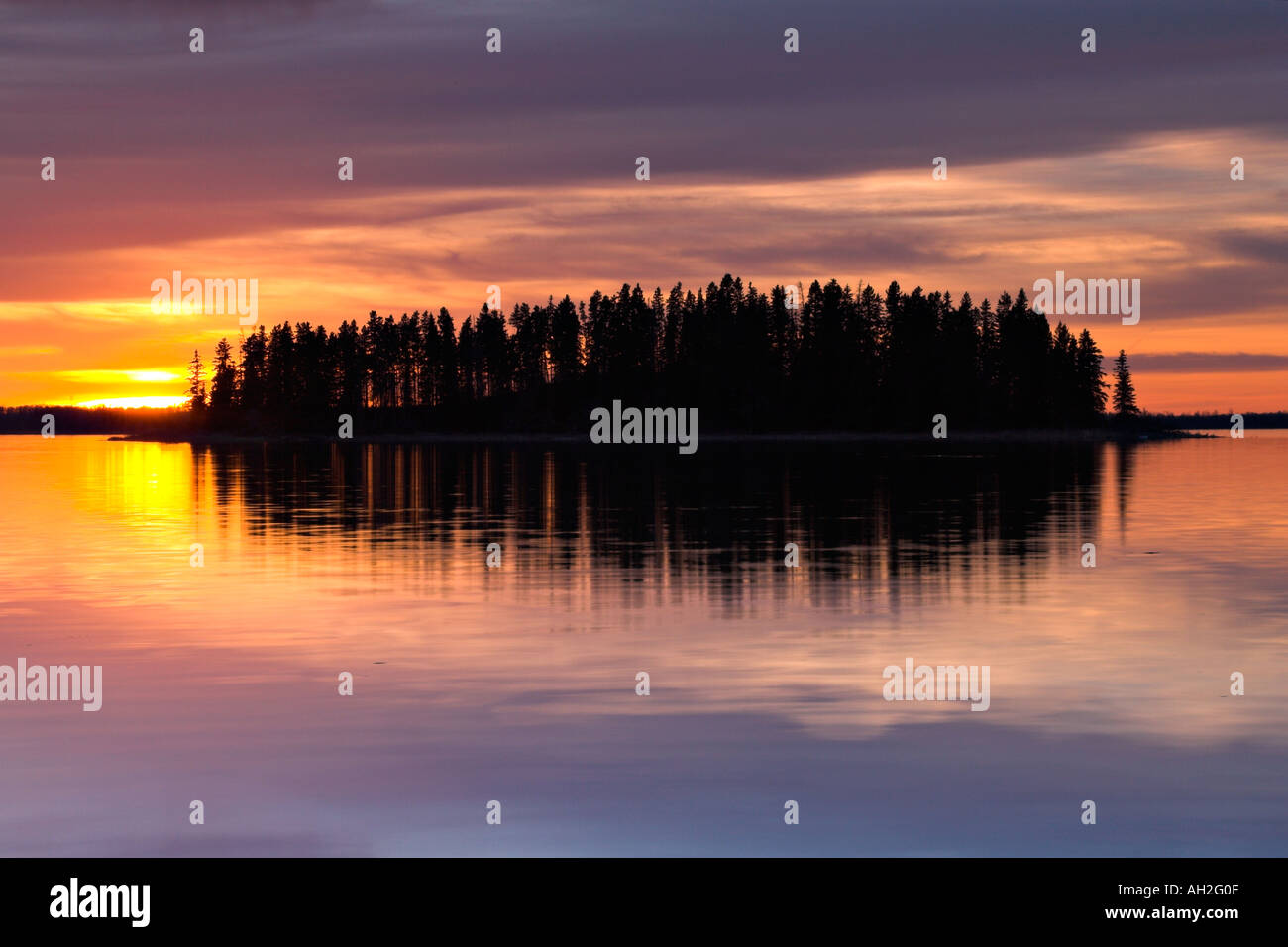 Sunset astotin lake elk hi-res stock photography and images - Alamy