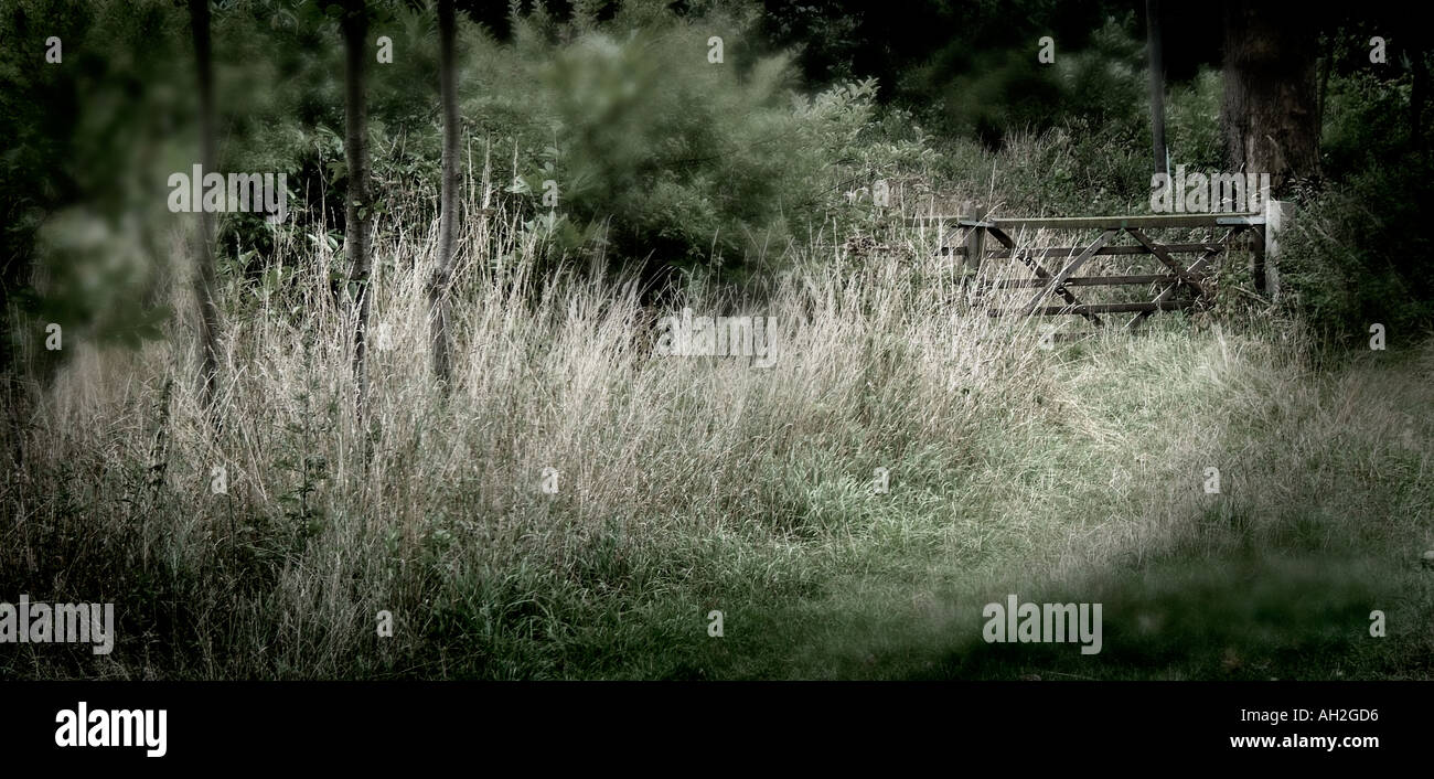 farm gate in countryside Stock Photo - Alamy