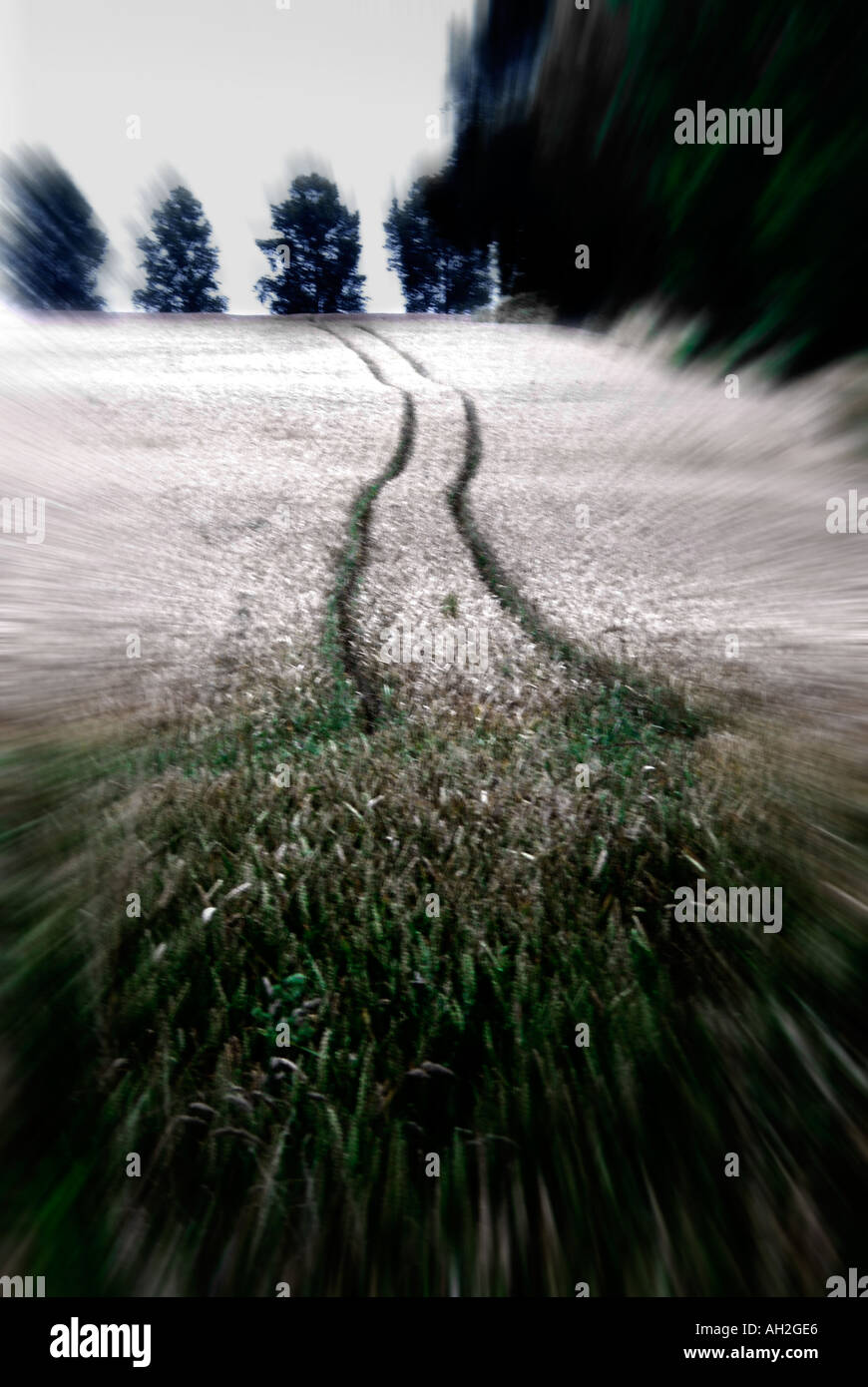 Norfolk countryside fields hi-res stock photography and images - Alamy
