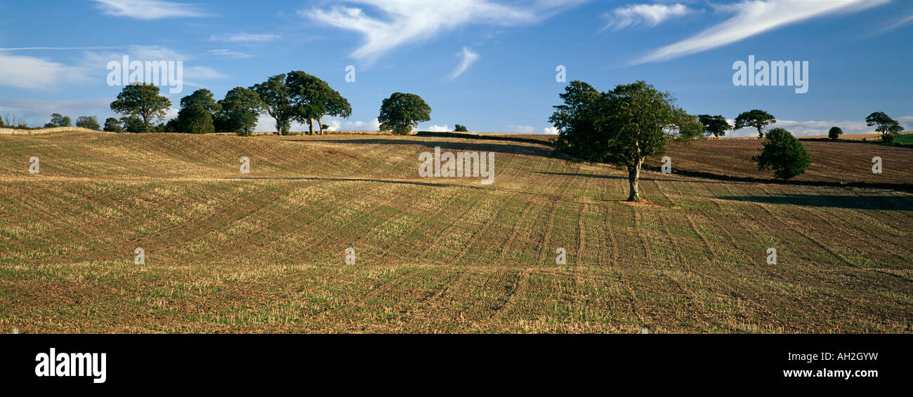 Craigrothie hi-res stock photography and images - Alamy