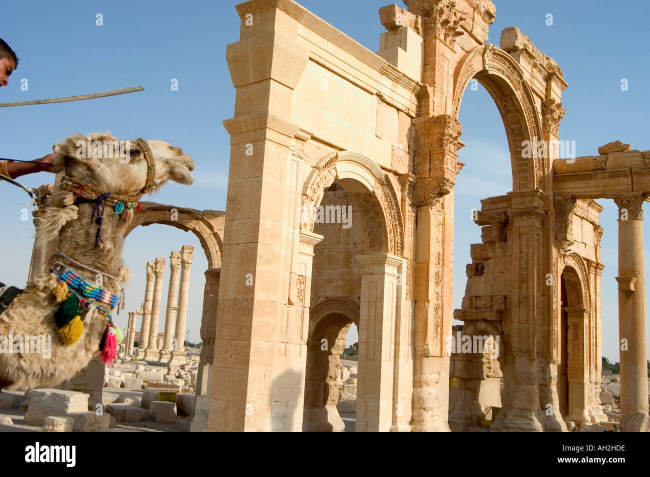 tourist camel ride monumental arch archaelogical ruins Palmyra Syria ...