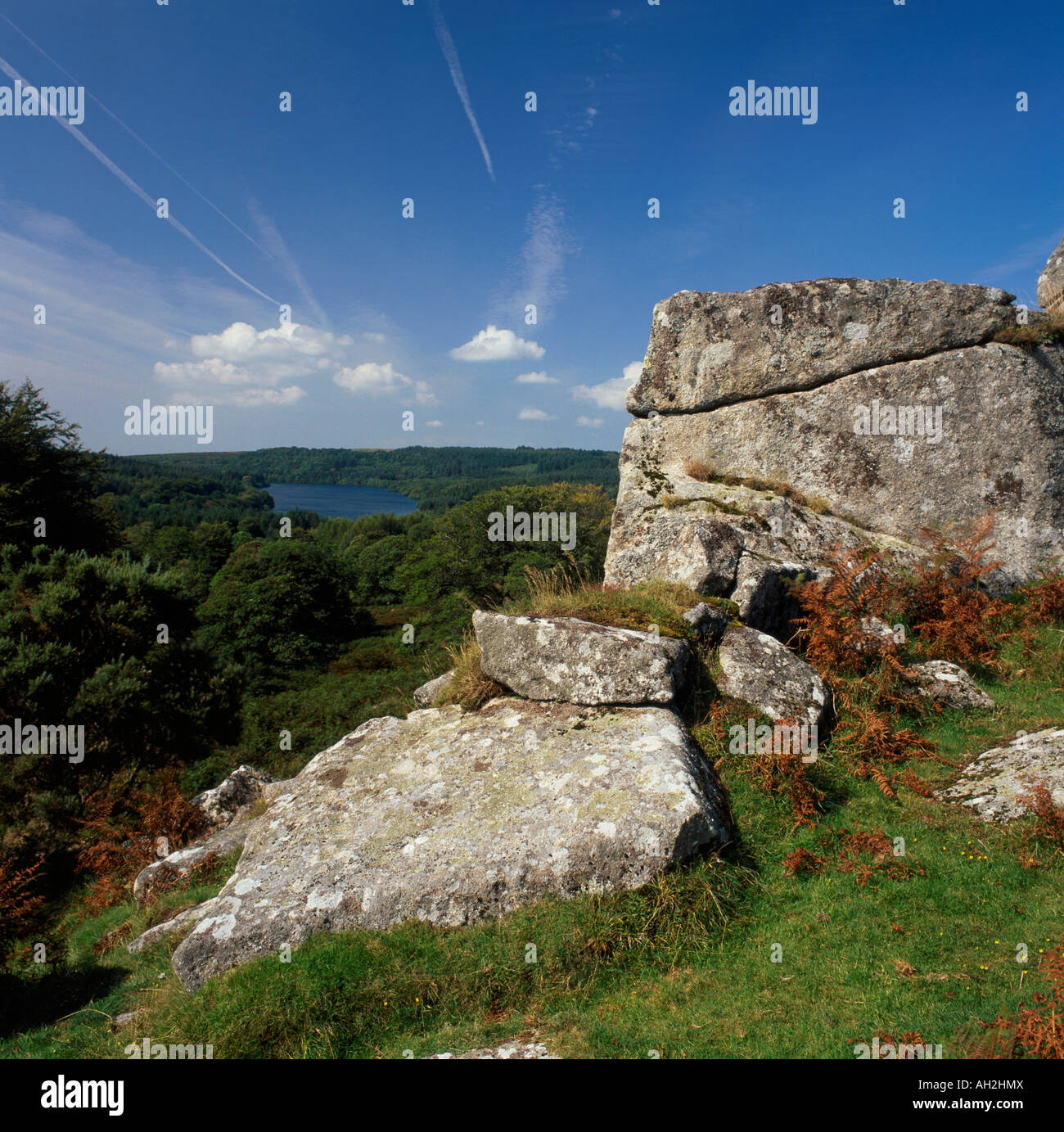 View over Burrator Reservoir from Down Tor Stock Photo - Alamy