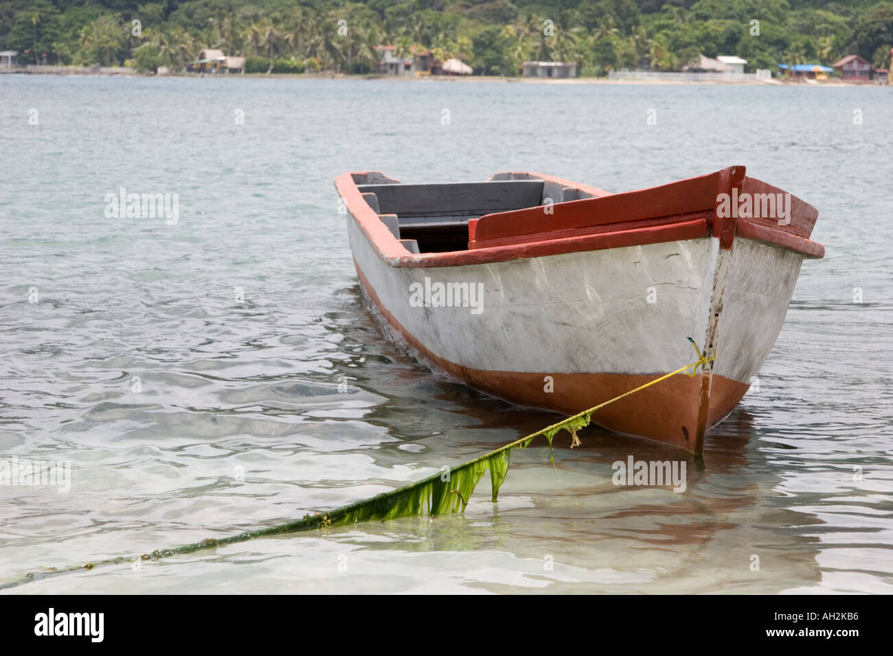 Dug out boat tied to the beach Stock Photo - Alamy