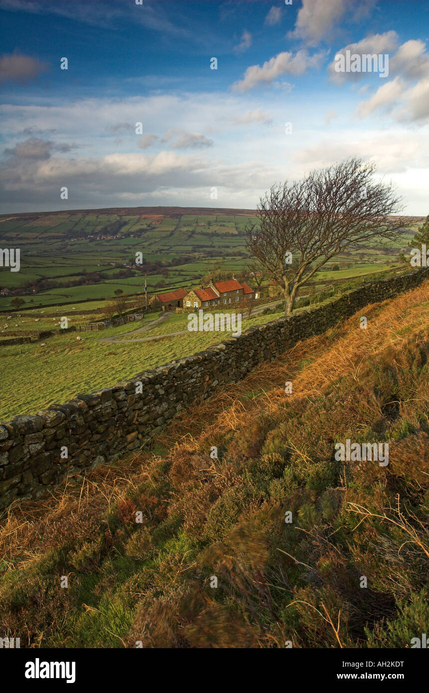 Great Fryup dale and the Esk valley Stock Photo - Alamy