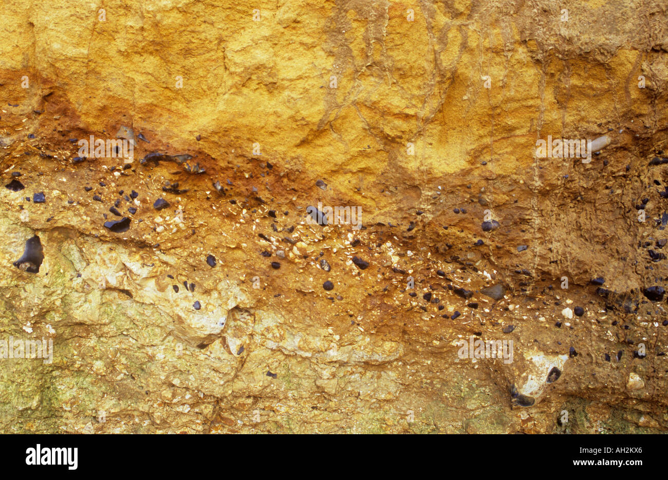 Detail of cliff face at Weybourne North Norfolk England showing strata ...